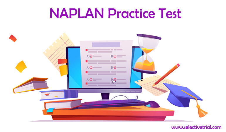 Smart Study Plan For NAPLAN Practice Test - Selectivetrial
