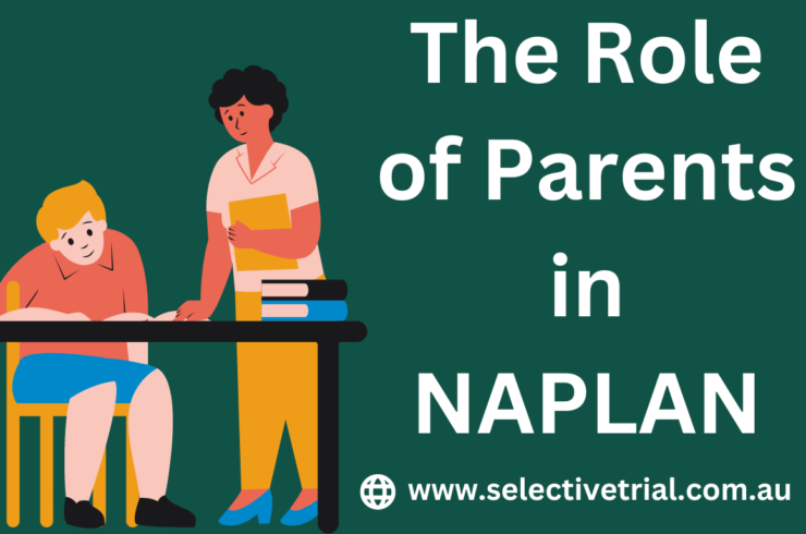 Naplan Exam Preparation 2024: Tips to Survive and Excel